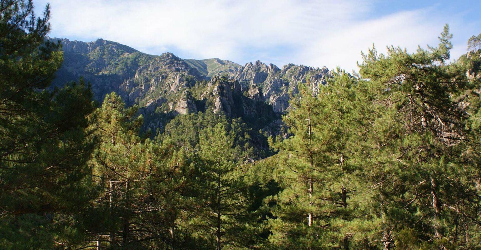 Parc naturel régional de Corse : notre guide - Le Campoloro